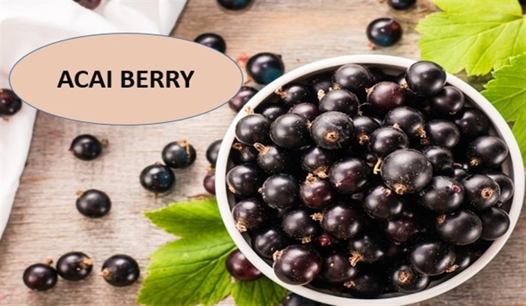 Acai berry - thần dược cho làn da từ thiên nhiên | KhaiStore.vn