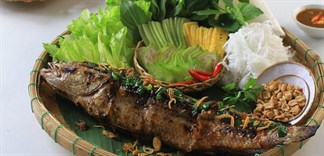 Cách chọn cá lóc tươi ngon, không lo bị ươn | KhaiStore.vn