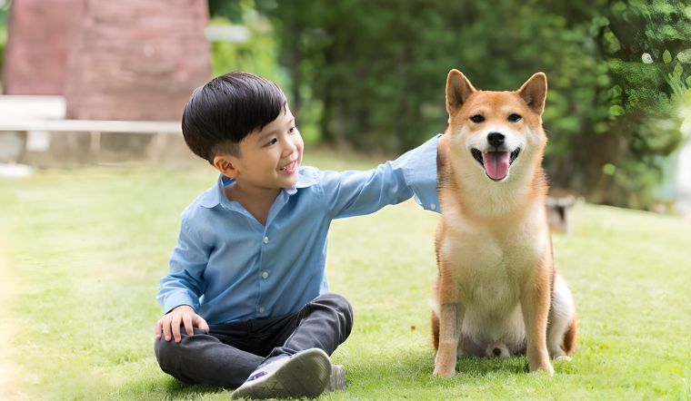Làm gì để trẻ và thú cưng chơi cùng nhau an toàn? | KhaiStore.vn
