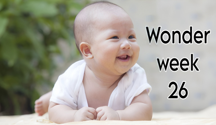 Wonder week 26 của bé là gì? Biểu hiện của bé trong wonder week 26 ...