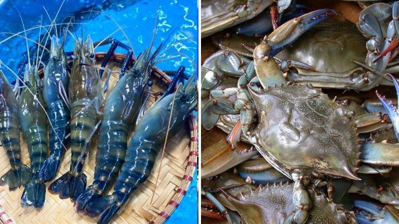 Thủy sản và hải sản khác nhau như thế nào? Các loại thủy, hải sản phổ ...